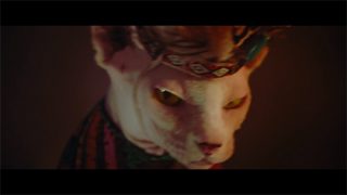 Furry.Today | Furry Videos Every Weekday.