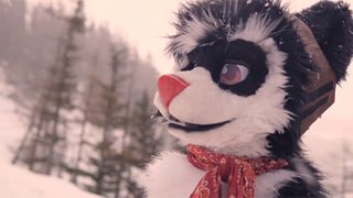 Furry.Today | Furry Videos Every Weekday.