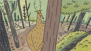 Furry.Today | Furry Videos Every Weekday. | Page 2